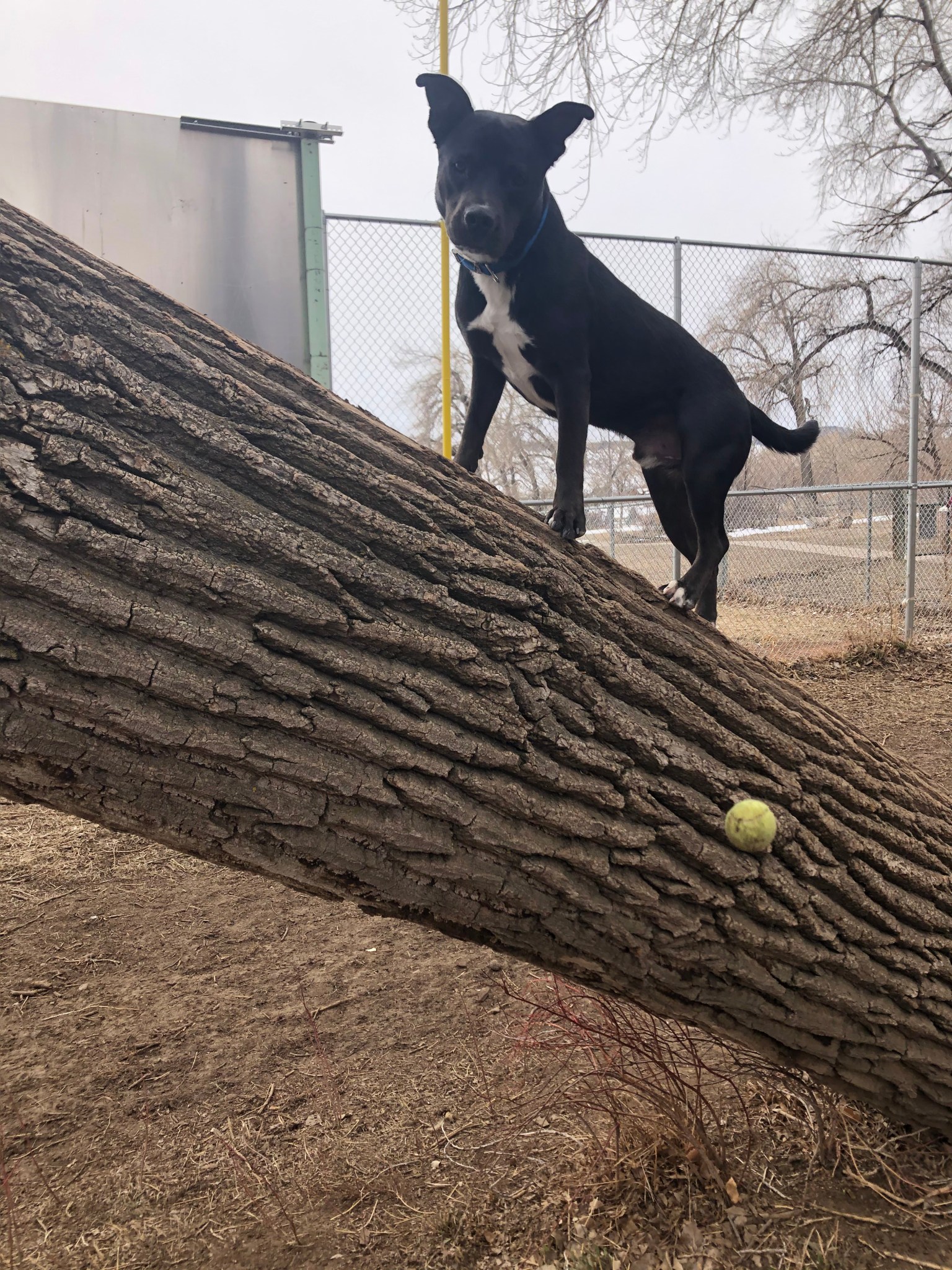 Poem of the Week: The Summer Day by Mary Oliver – Kimberly O'Connor